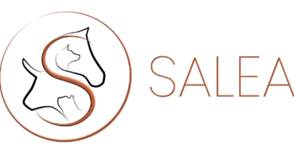 Erfahrungsbericht Grossvieh - Salea Anwendung